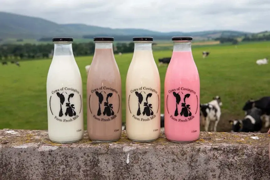 Find milk vending machines near you - Local Producer