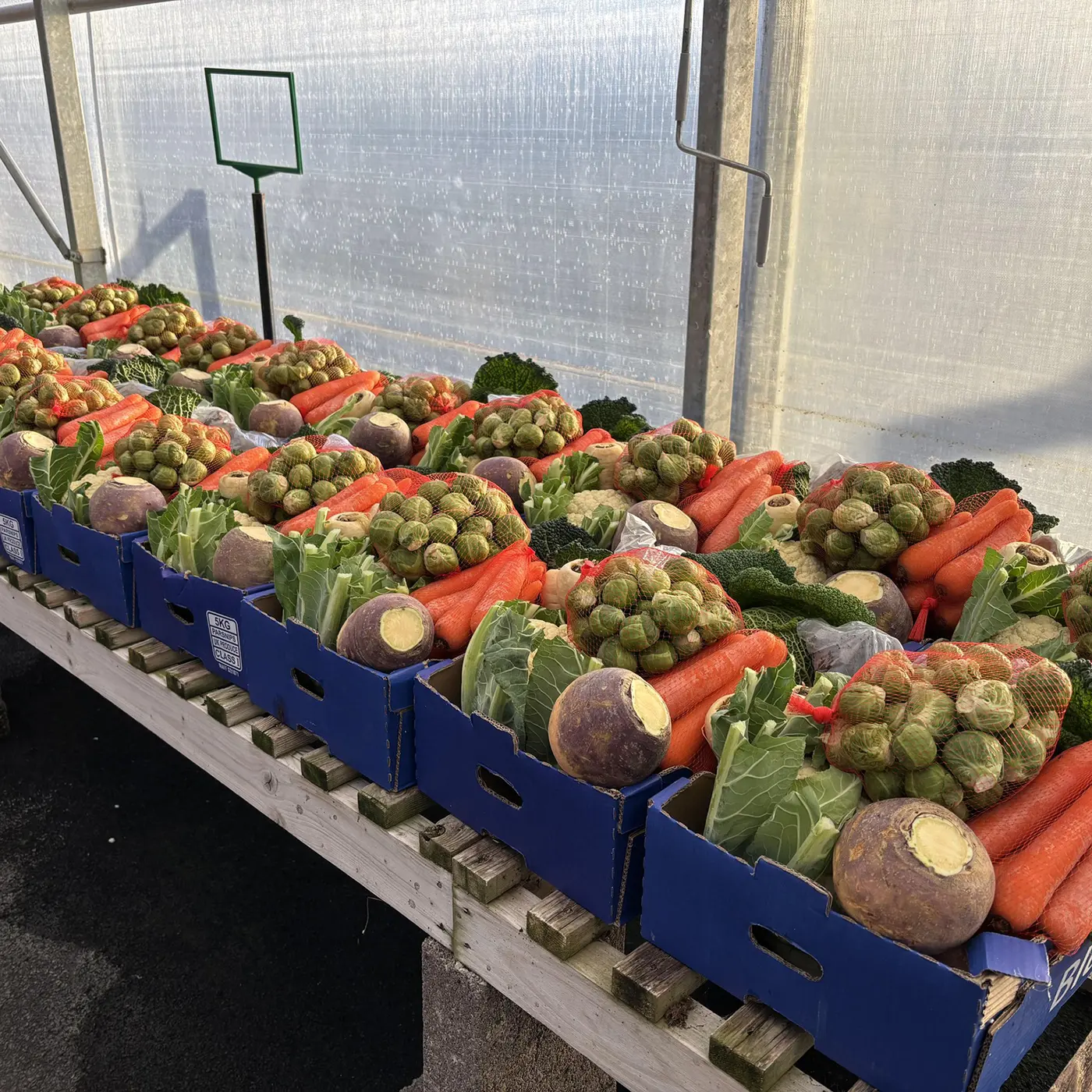 Discover local produce near you - Local Producer