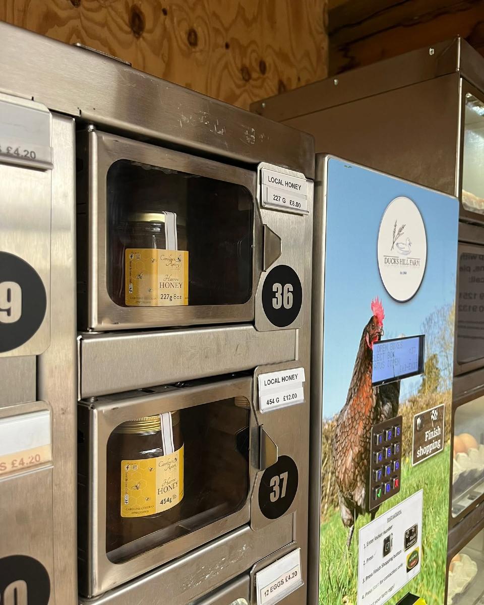 Fresh Eggs - Local Producer