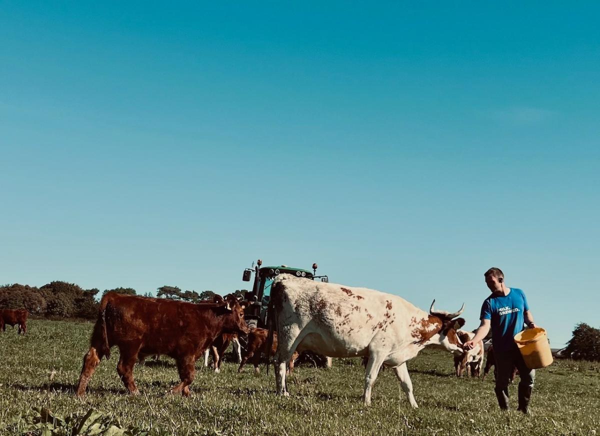 Mossgiel Farm - Local Producer